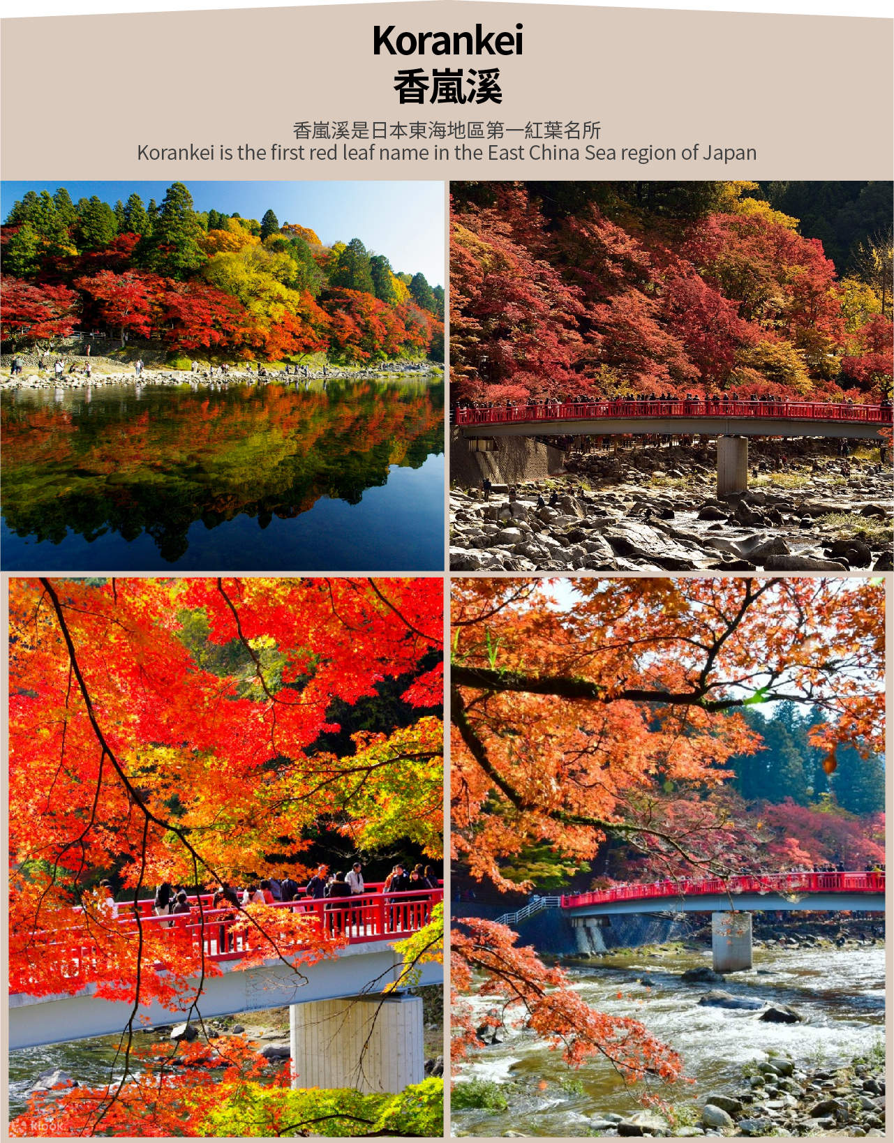 [November and December maple viewing season only] Nagoya Torakeizan ...